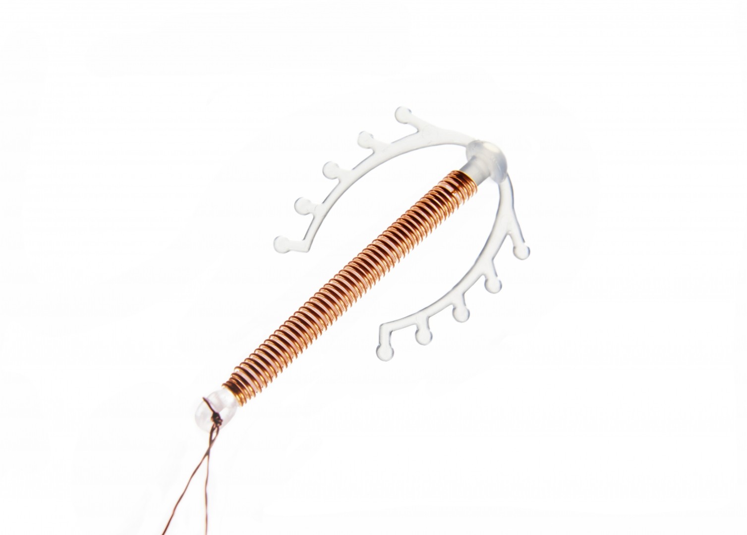 Yunona Bio Multi – Simurg Balticum / Simurg Balticum